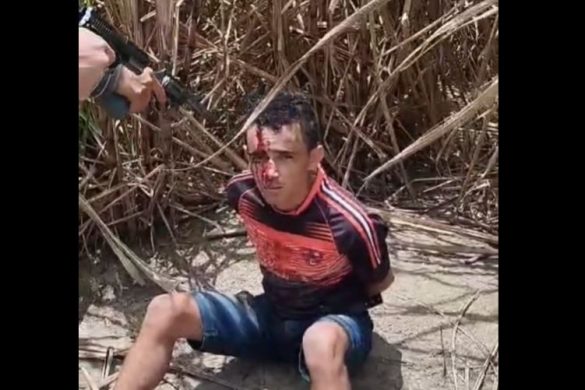 Xgore - Latest update of the world's largest gore images and videos