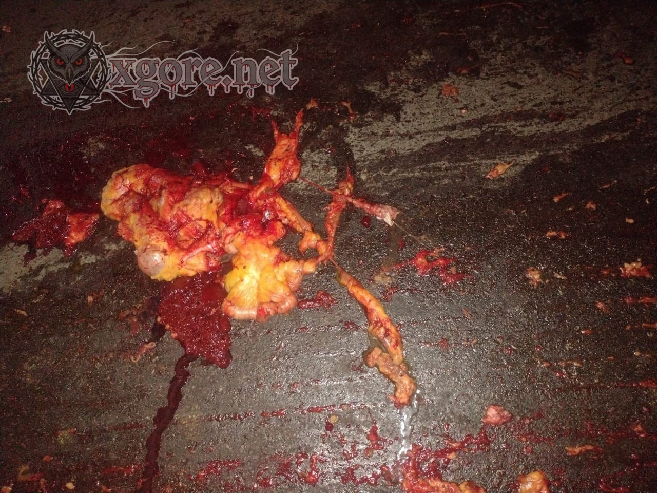 Man Crushed to Death by Truck After Motorcycle Collision on BR-230 ...